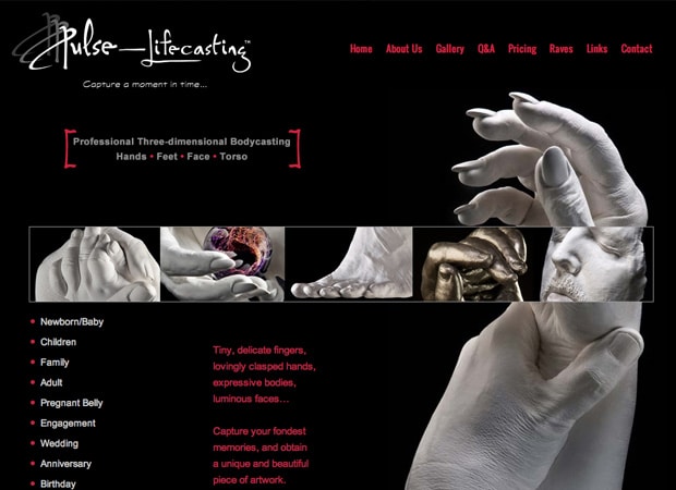 pulse-lifecasting - StudioPress